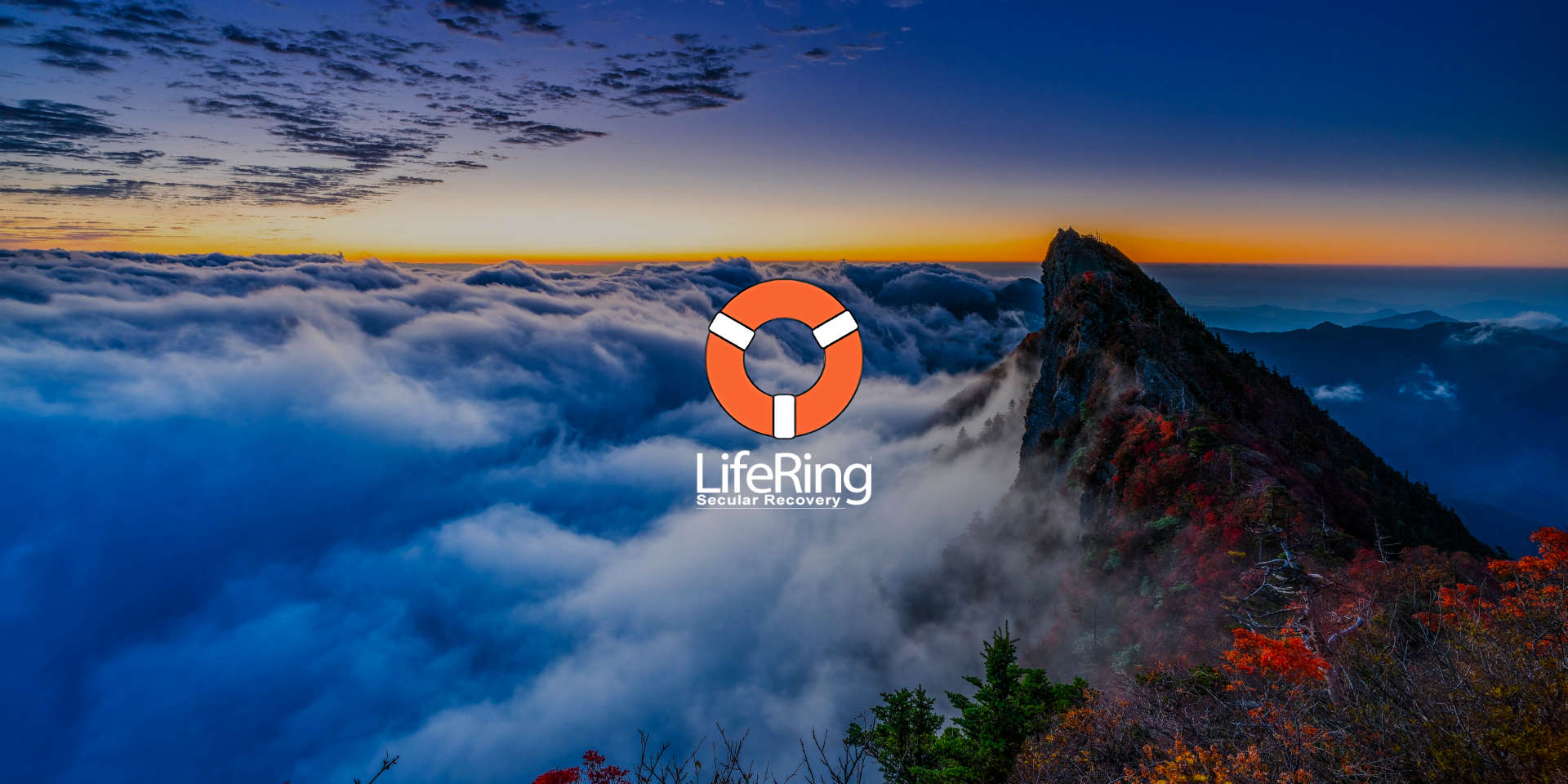 Lifering Secular Recovery - 12 Step Recovery