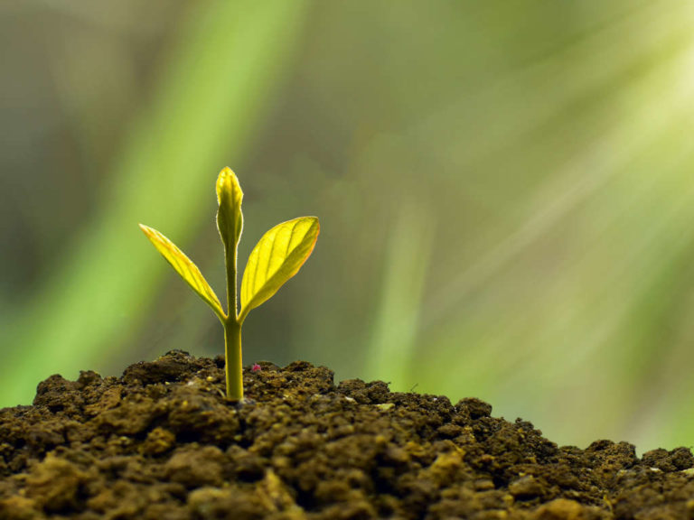What Is The 12 Step Program 12 Step Recovery